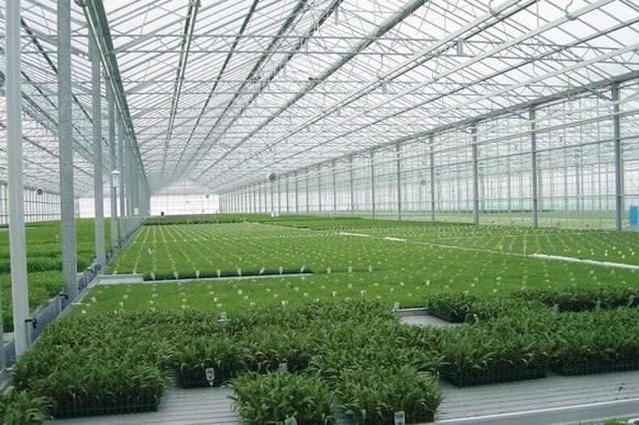 Building & Construction material | LEXAN™ sheet | POLYVANTIS